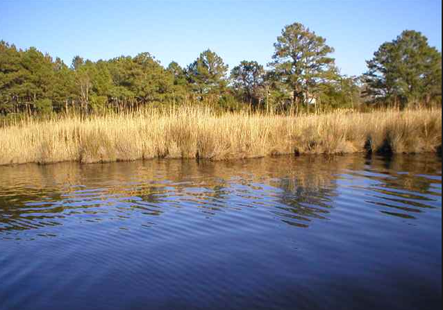 Bob Perry Rd/Kitty Hawk Bay MP 4