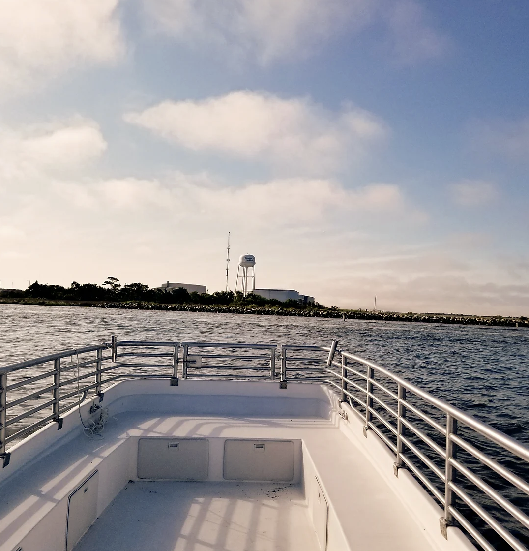 Old Man Charters