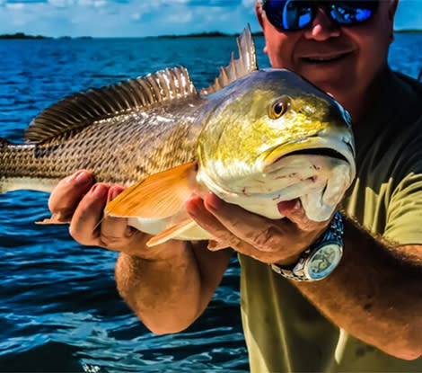 Capt. Frank Riddick Fishy Bizness