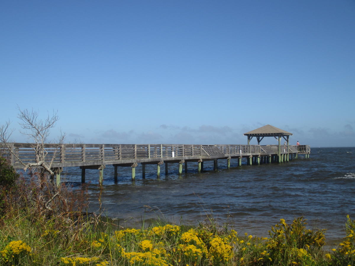 Bebop's Multi-Use Pier