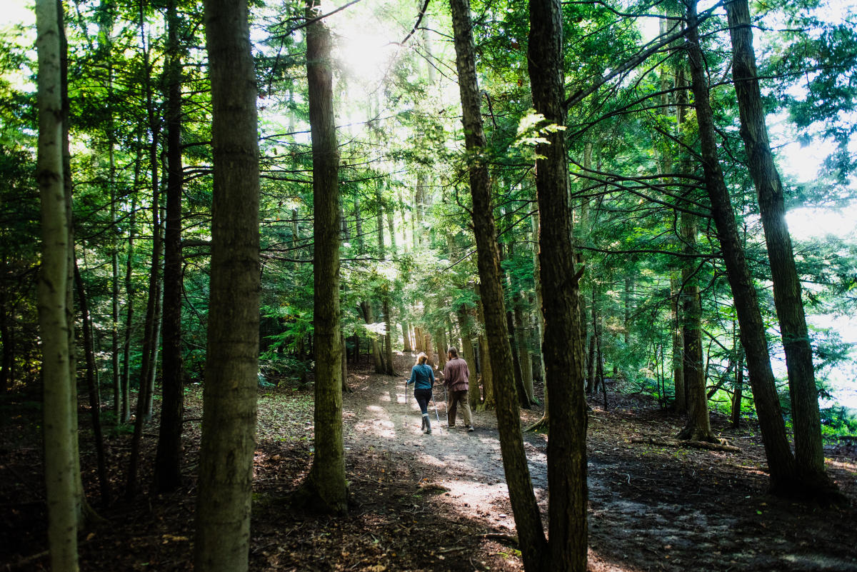 Vansittart Woods