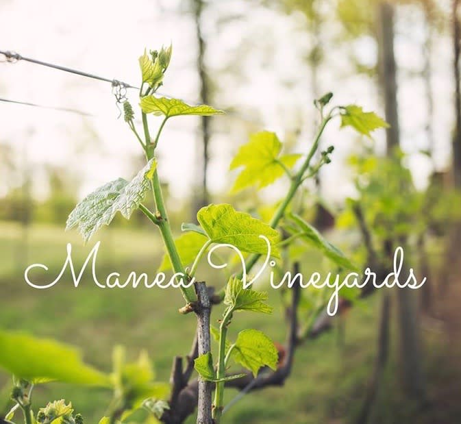 Manea Vineyards
