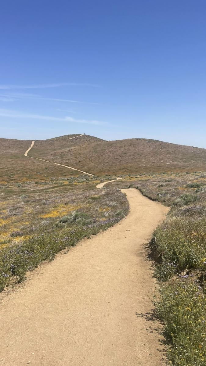 Antelope Loop Trail