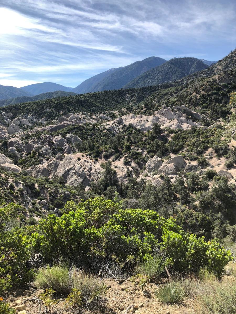 Holcomb Canyon Loop