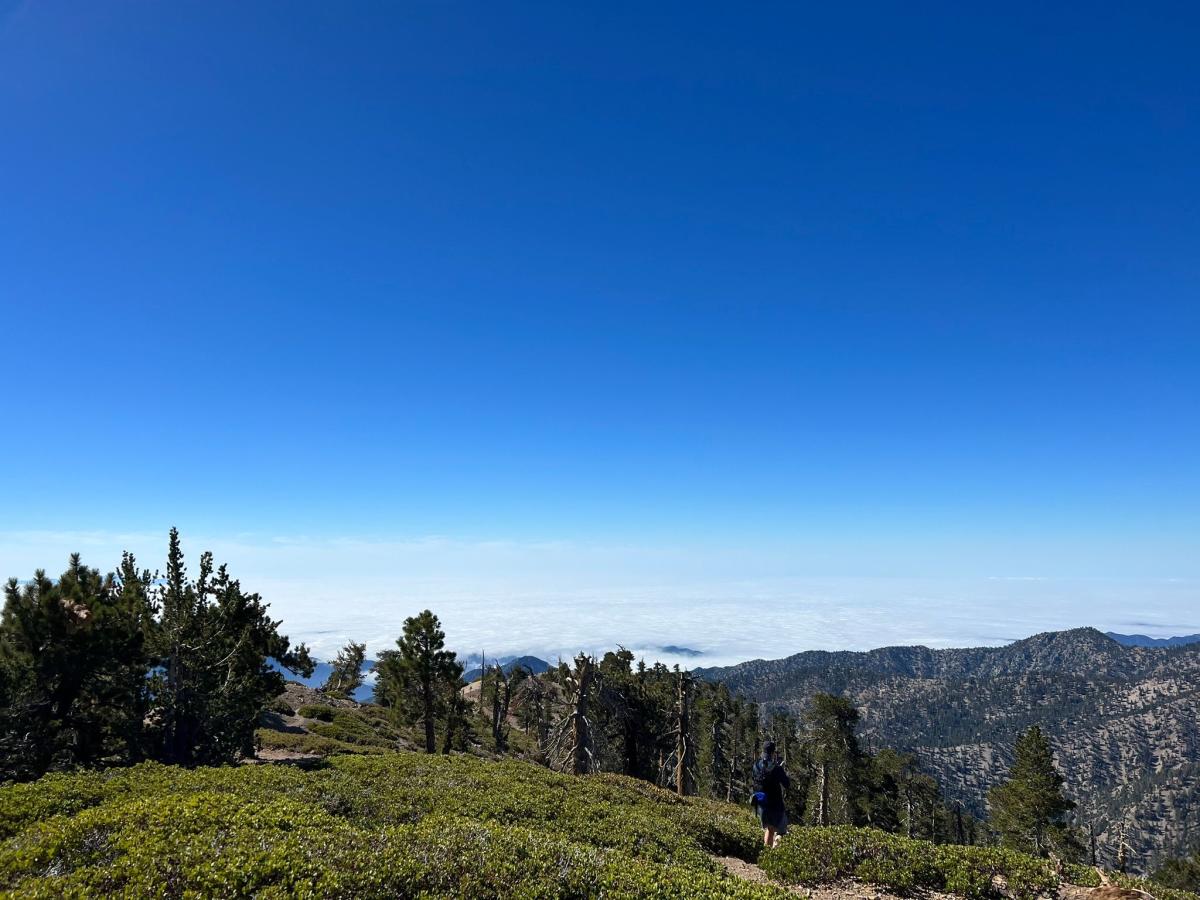 Mount Baden-Powell Trail