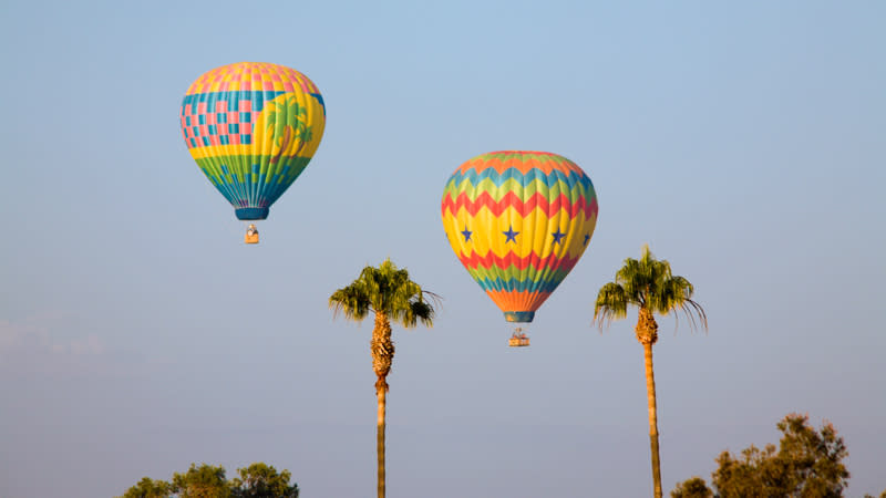 Fantasy Balloon Flights