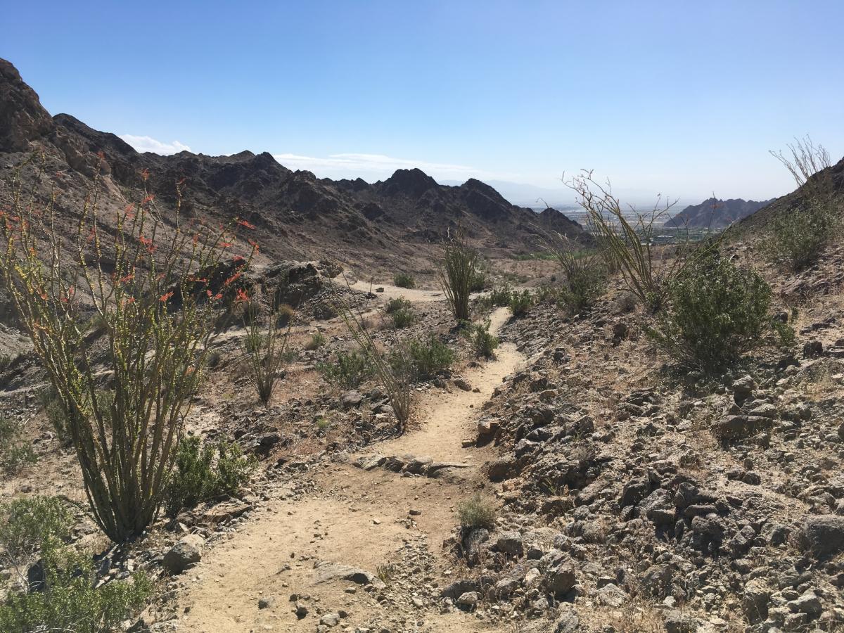 Cove to Lake Trail