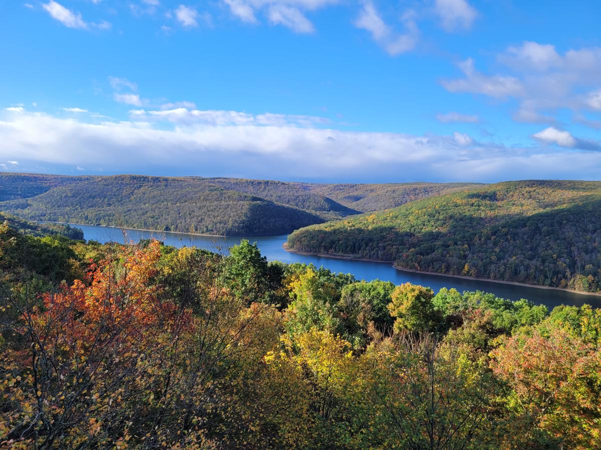 Allegheny National Forest | Pennsylvania