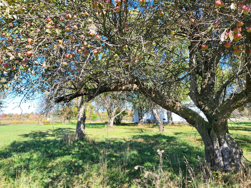 Geer Farm | Pennsylvania