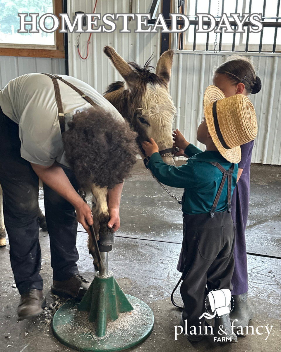 Homestead Days at Plain & Fancy Farm | Pennsylvania
