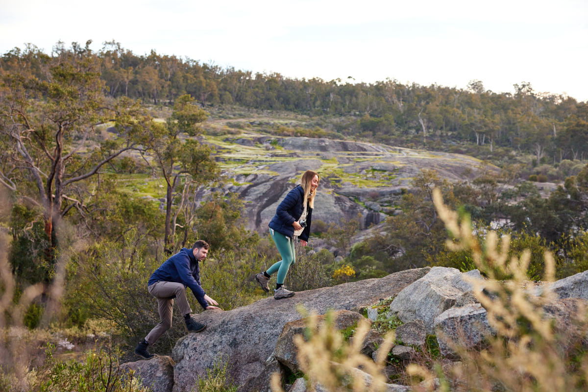 John Forrest National Park | Attraction | Hovea | Destination Perth