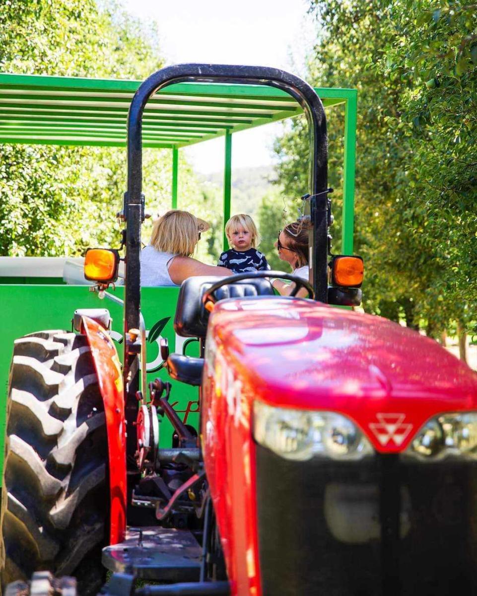 Bickley Harvest Festival | Destination Perth