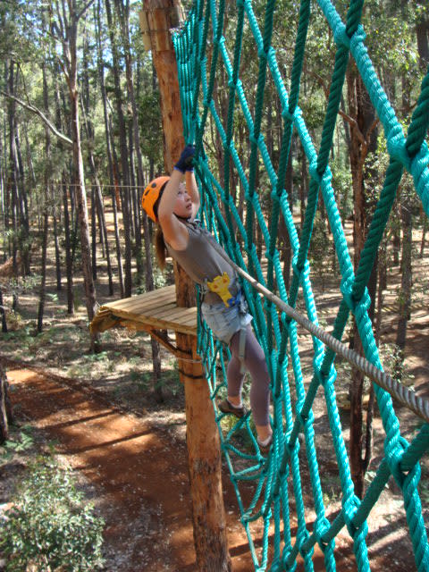 Treetops Adventure - Dwellingup