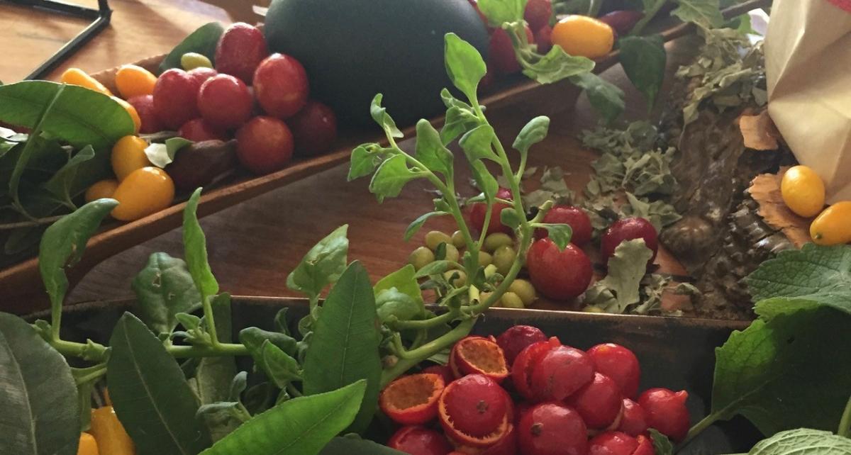 Dale Tilbrook Experiences