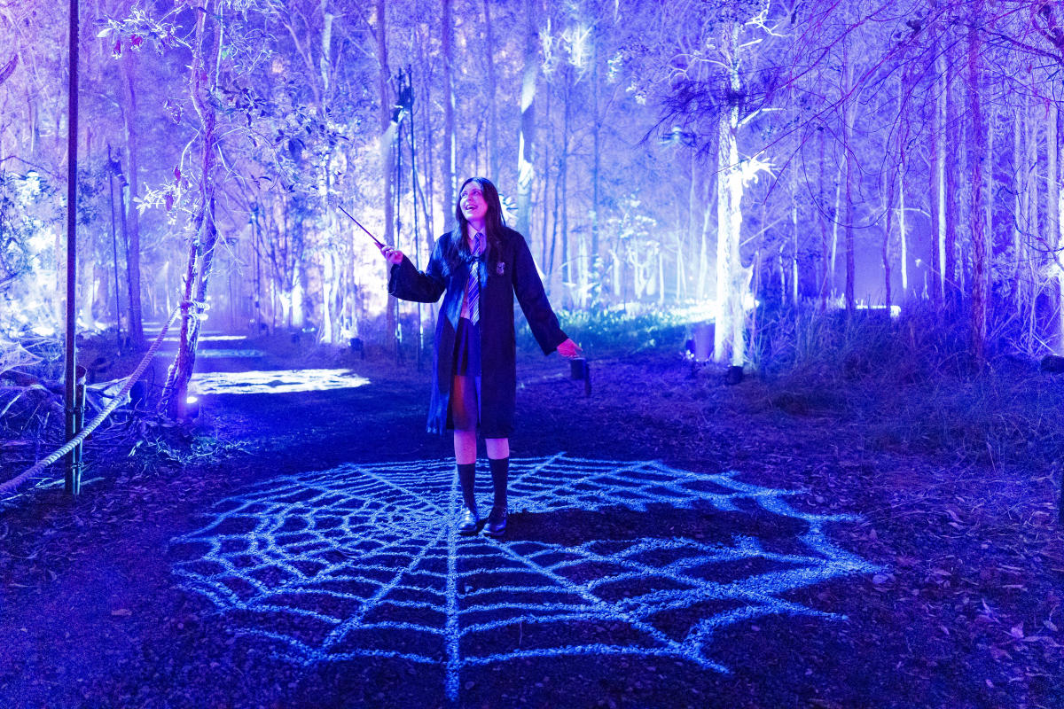 Harry Potter: A Forbidden Forest Experience | Destination Perth