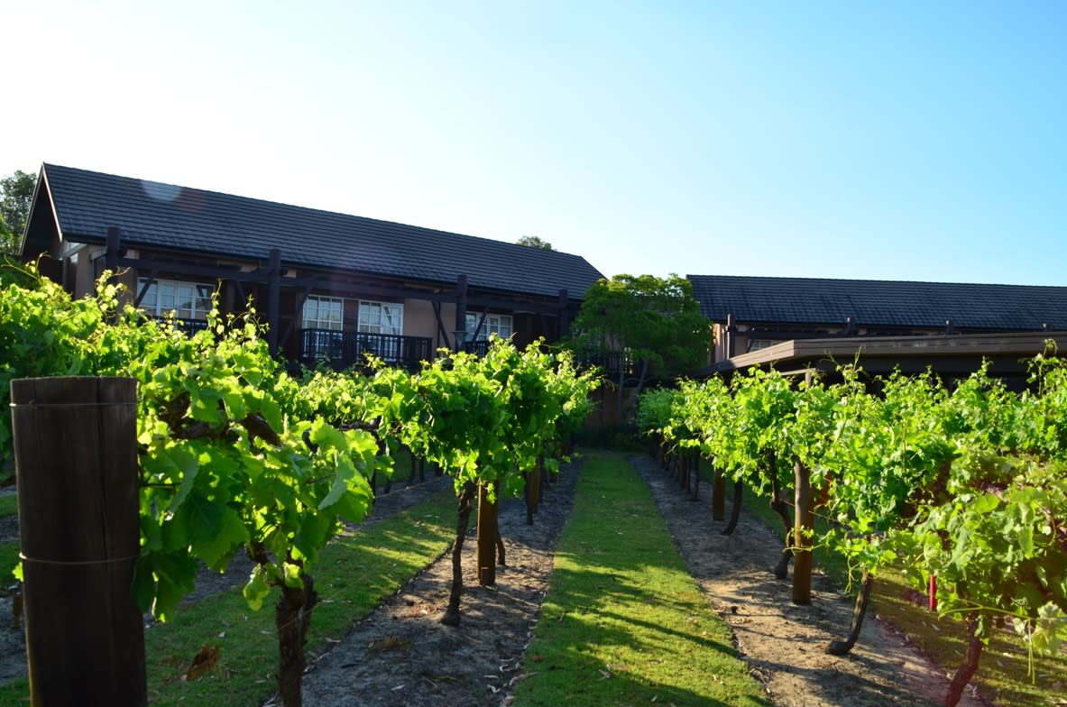 Novotel Vines Resort Swan Valley