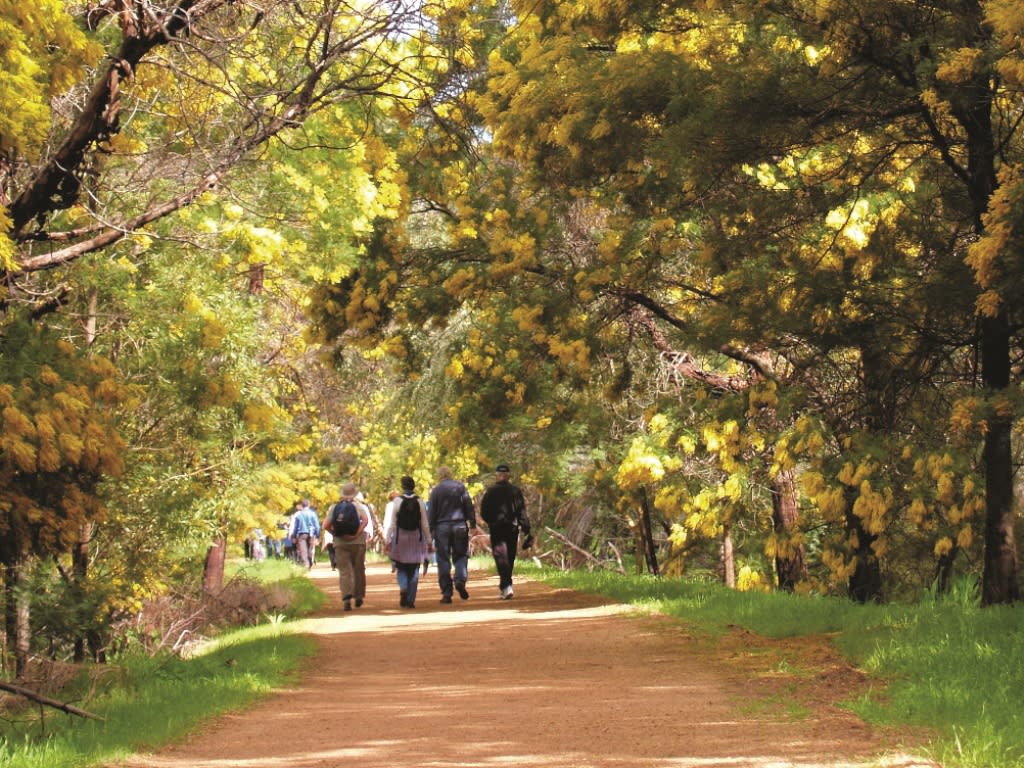 Perth Hills Mundaring Visitor Centre