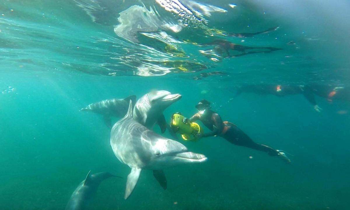 Perth Wildlife Encounters