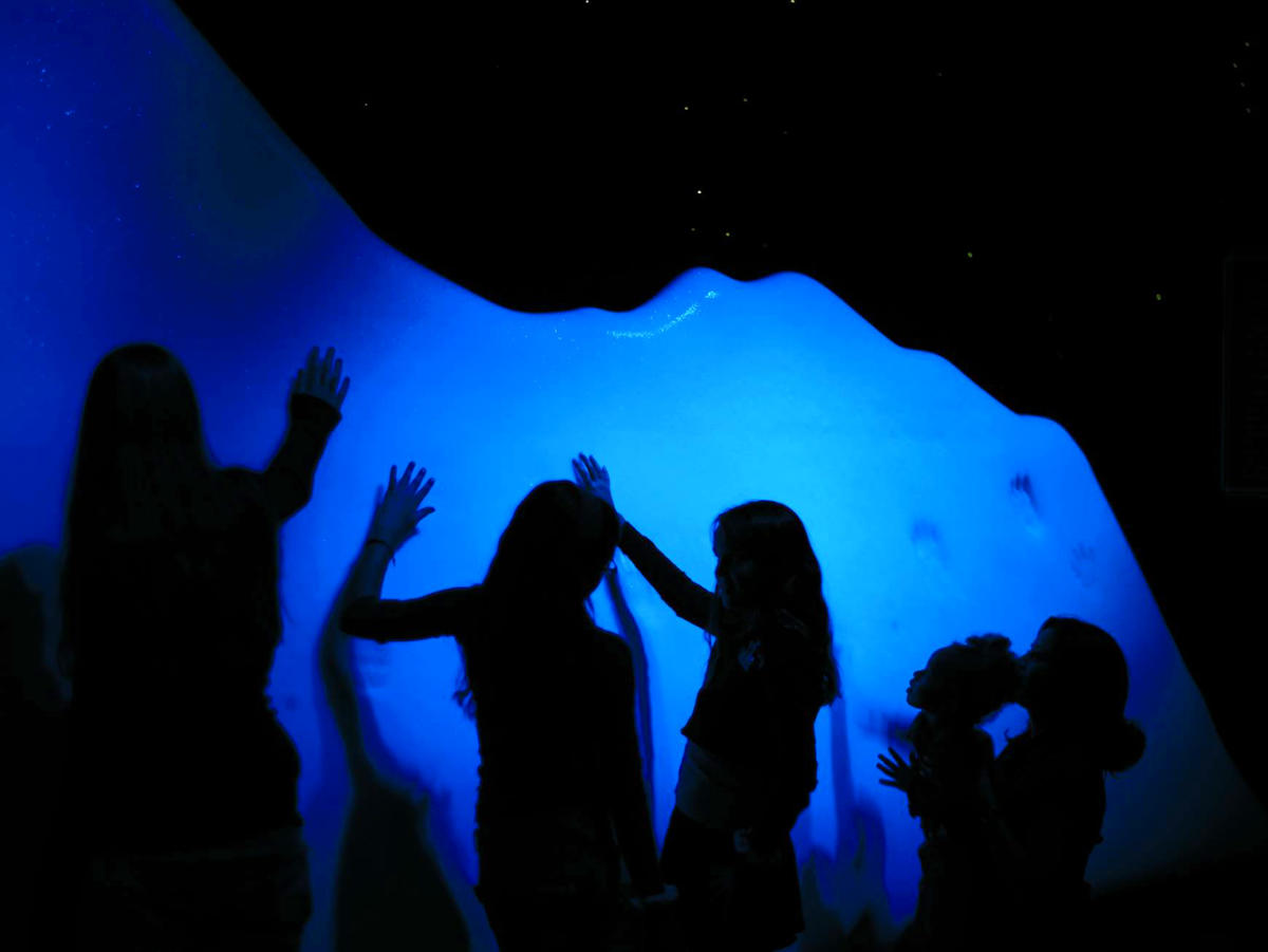 Titanic. The Human Story | Destination Perth