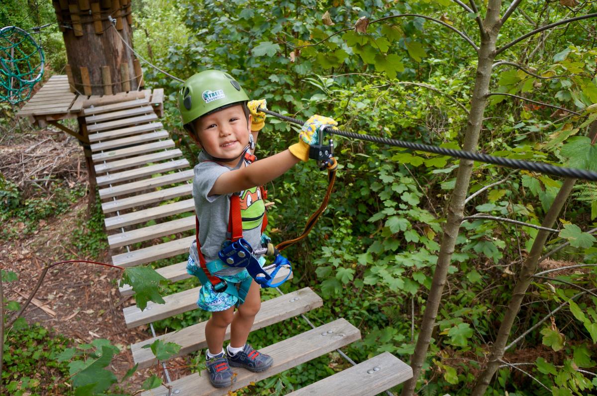 Treetops Adventure - Yanchep National Park