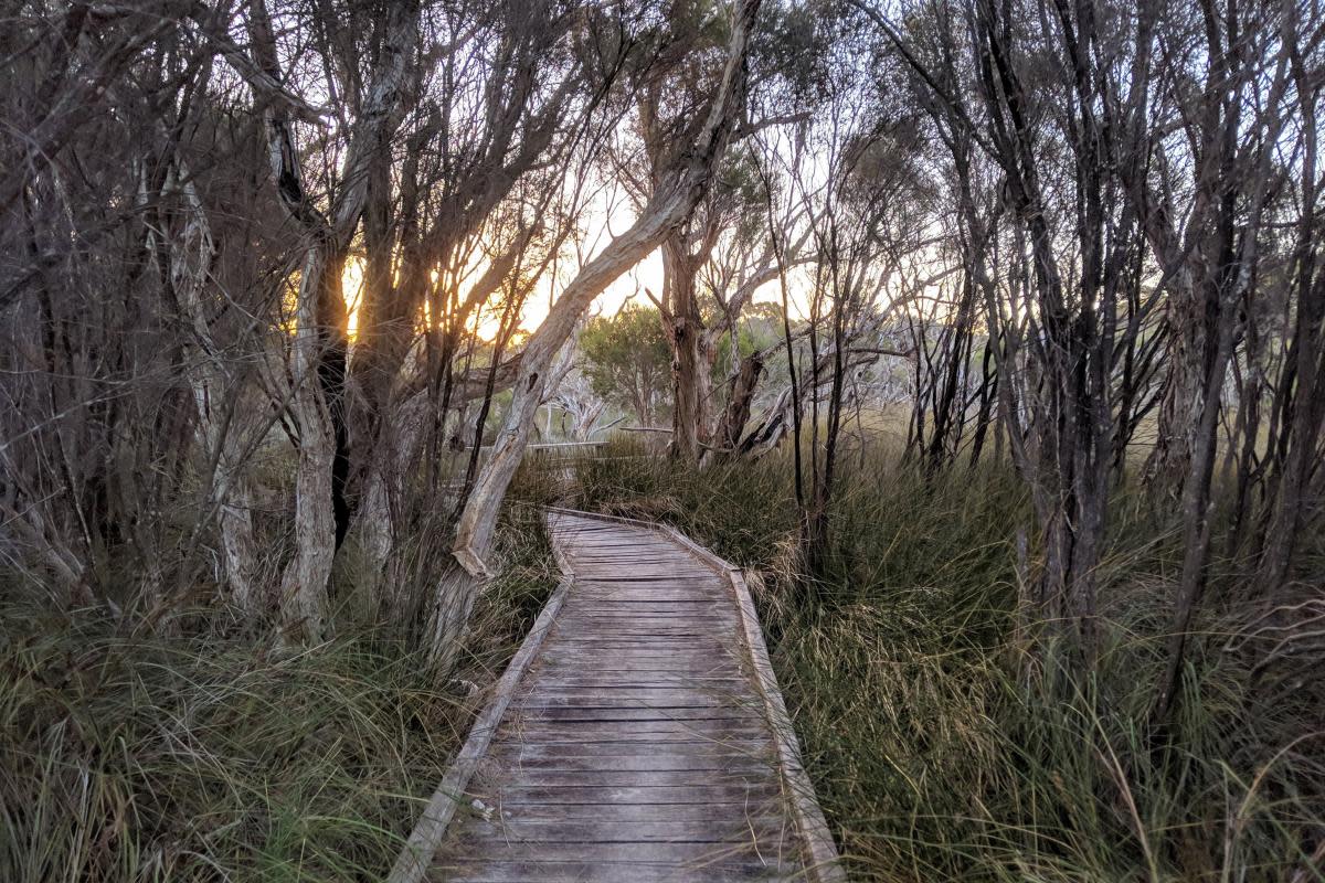 Len Howard Conservation Park | Attraction | Erskine | Destination Perth