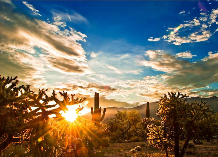 Visit Mesa - Mesa AZ, 85201