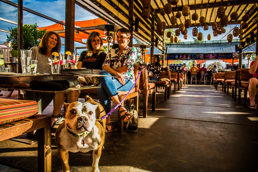 O.H.S.O. Brewery + Distillery Paradise Valley - Phoenix AZ, 85028