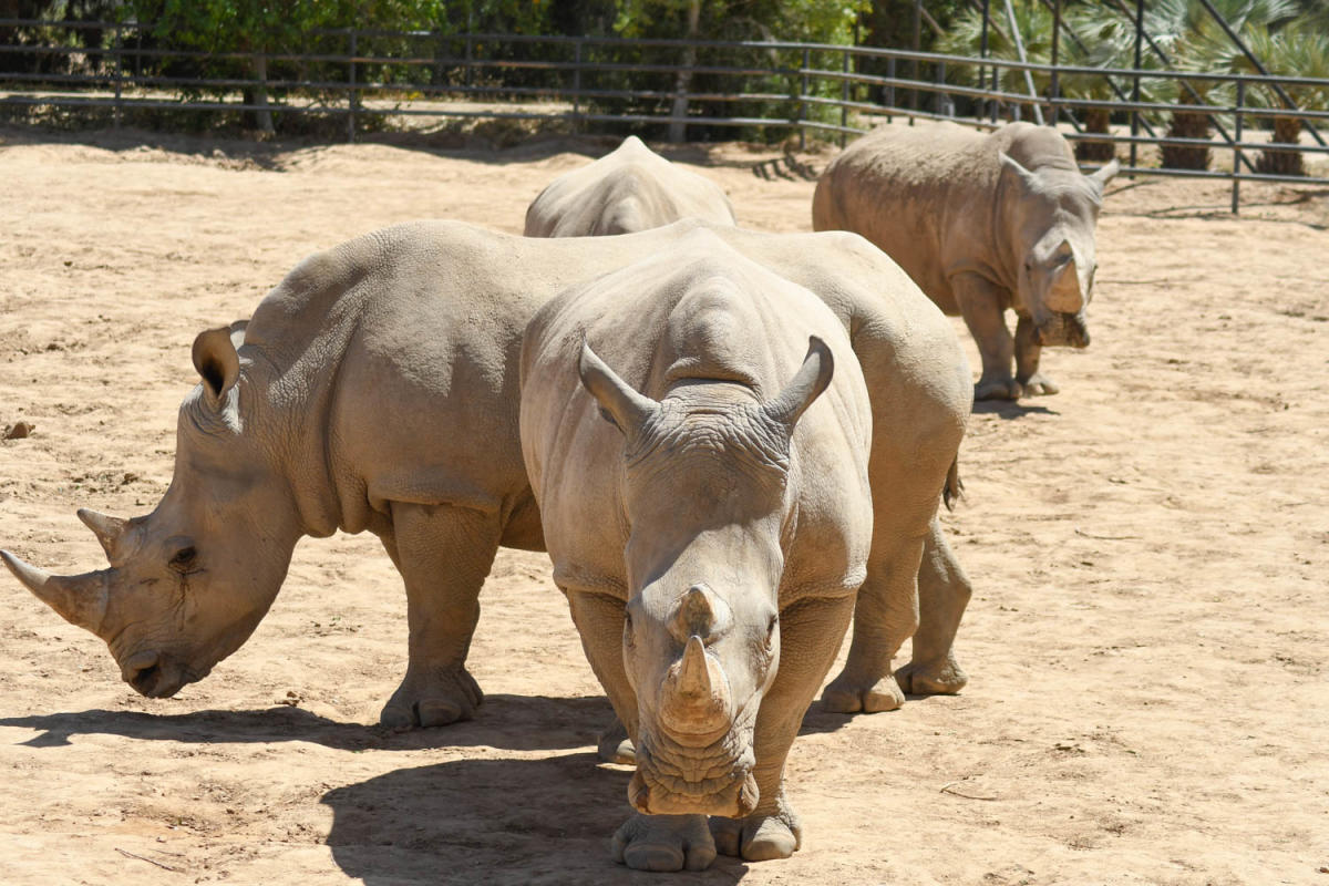 Wildlife World Zoo & Aquarium - Litchfield Park AZ, 85340