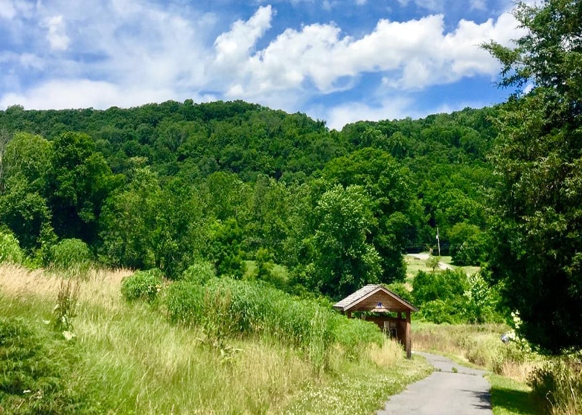 Cherry Valley National Wildlife Refuge - Hiking | Stroudsburg, PA 18360