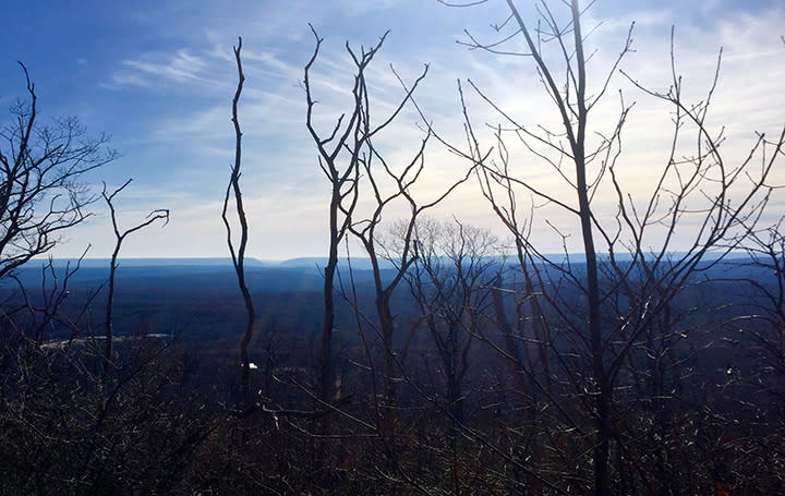 Cresco Heights - Hiking | Cresco, PA 18326