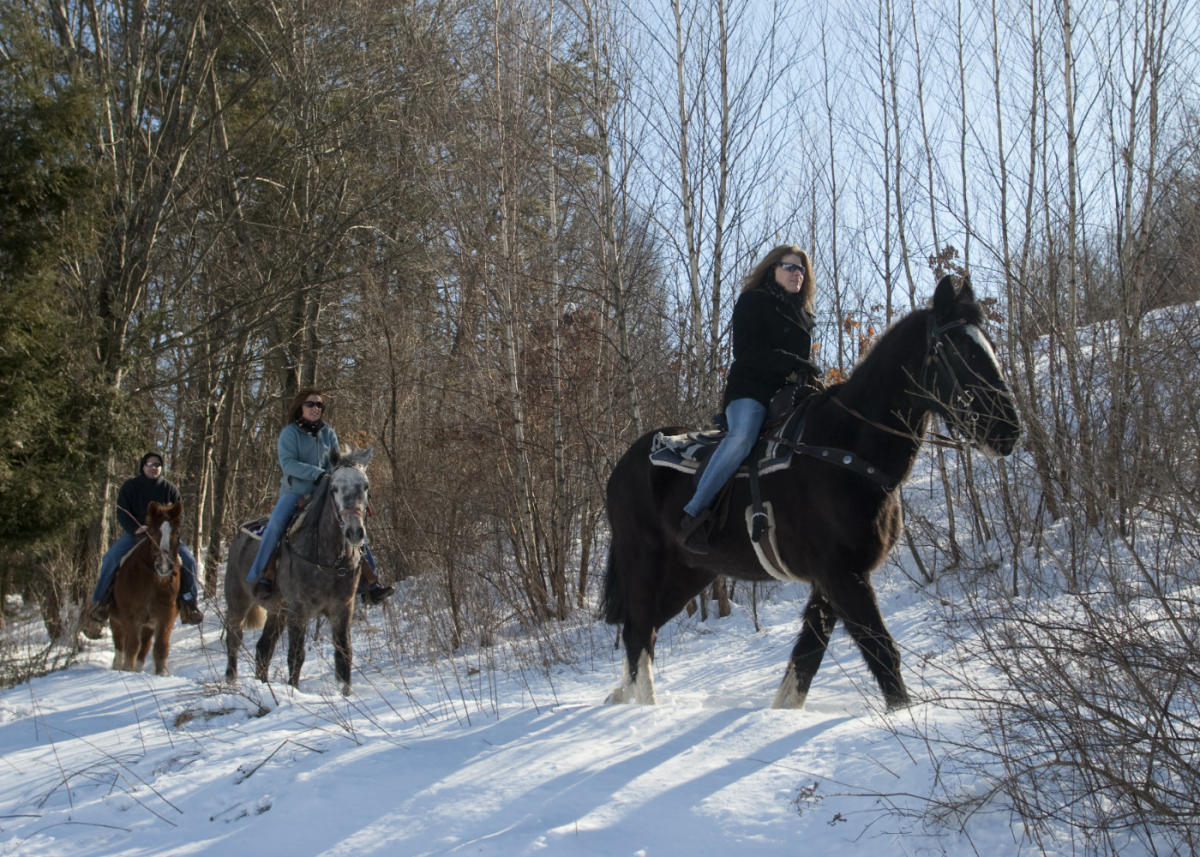 Bushkill Riding Stables | East Stroudsburg, PA 18302
