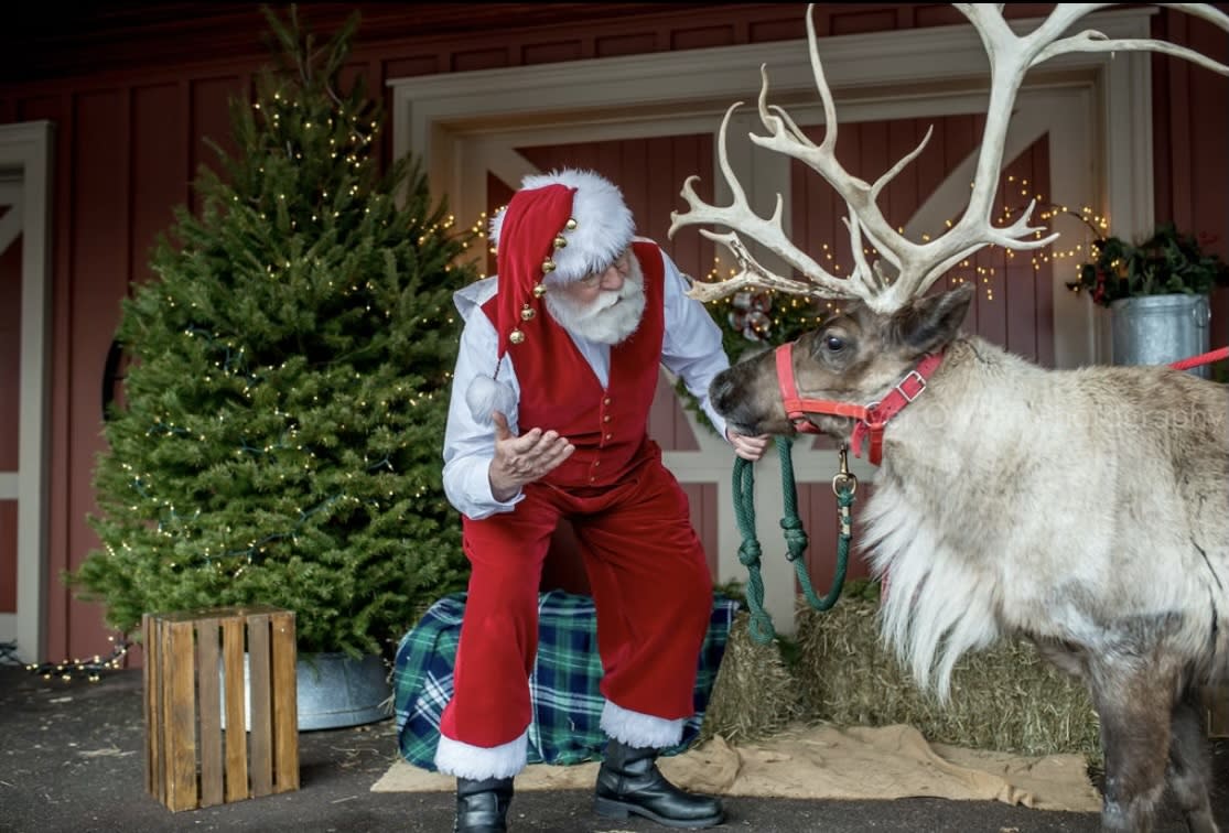 Spruce Ridge Reindeer | Albrightsville, PA 18210