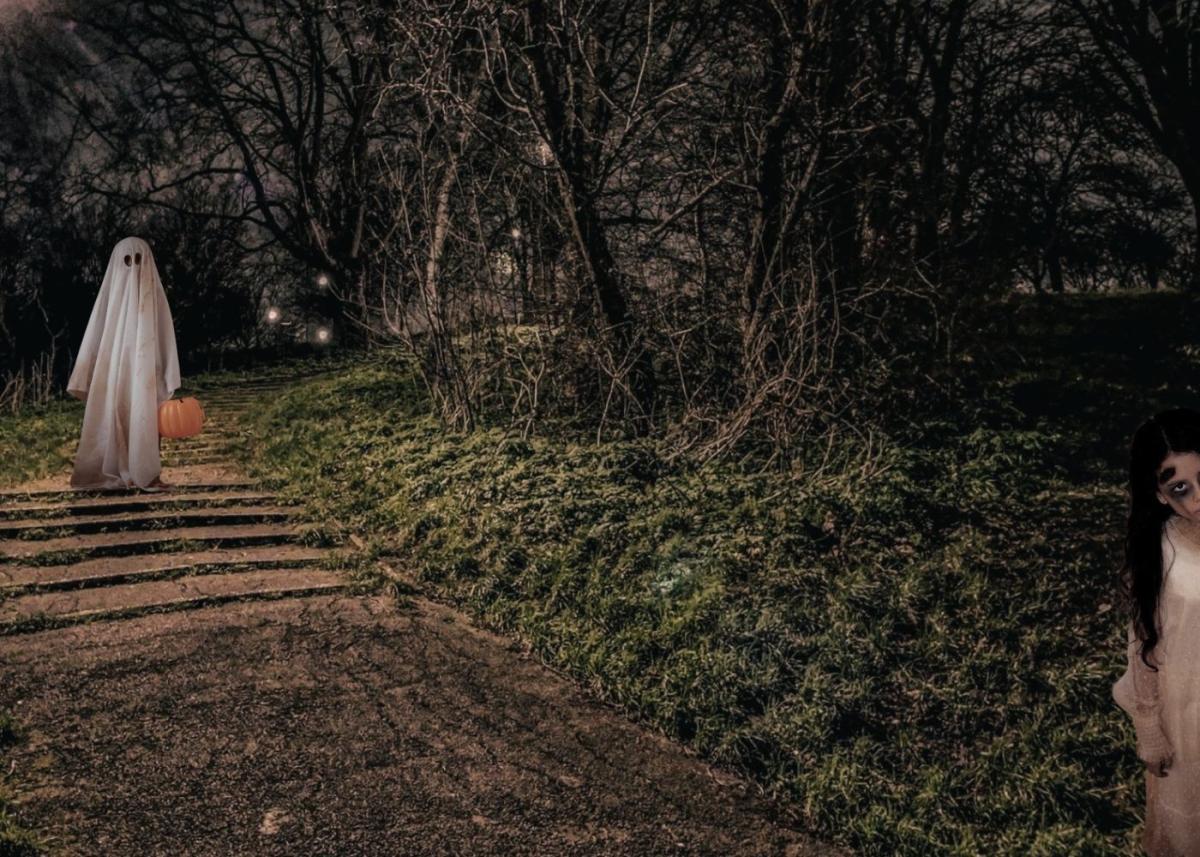 The Haunted Trail at Paradise Stream | Paradise Stream Resort | Mount ...