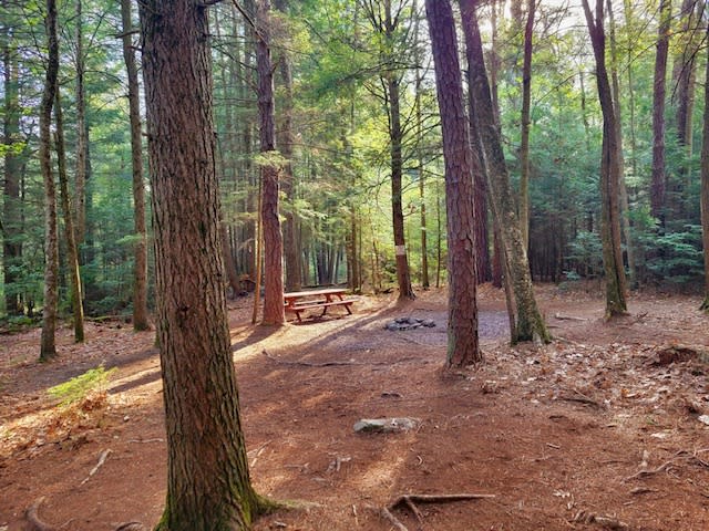 RoundStone Camping Resort | Weatherly, PA 18255