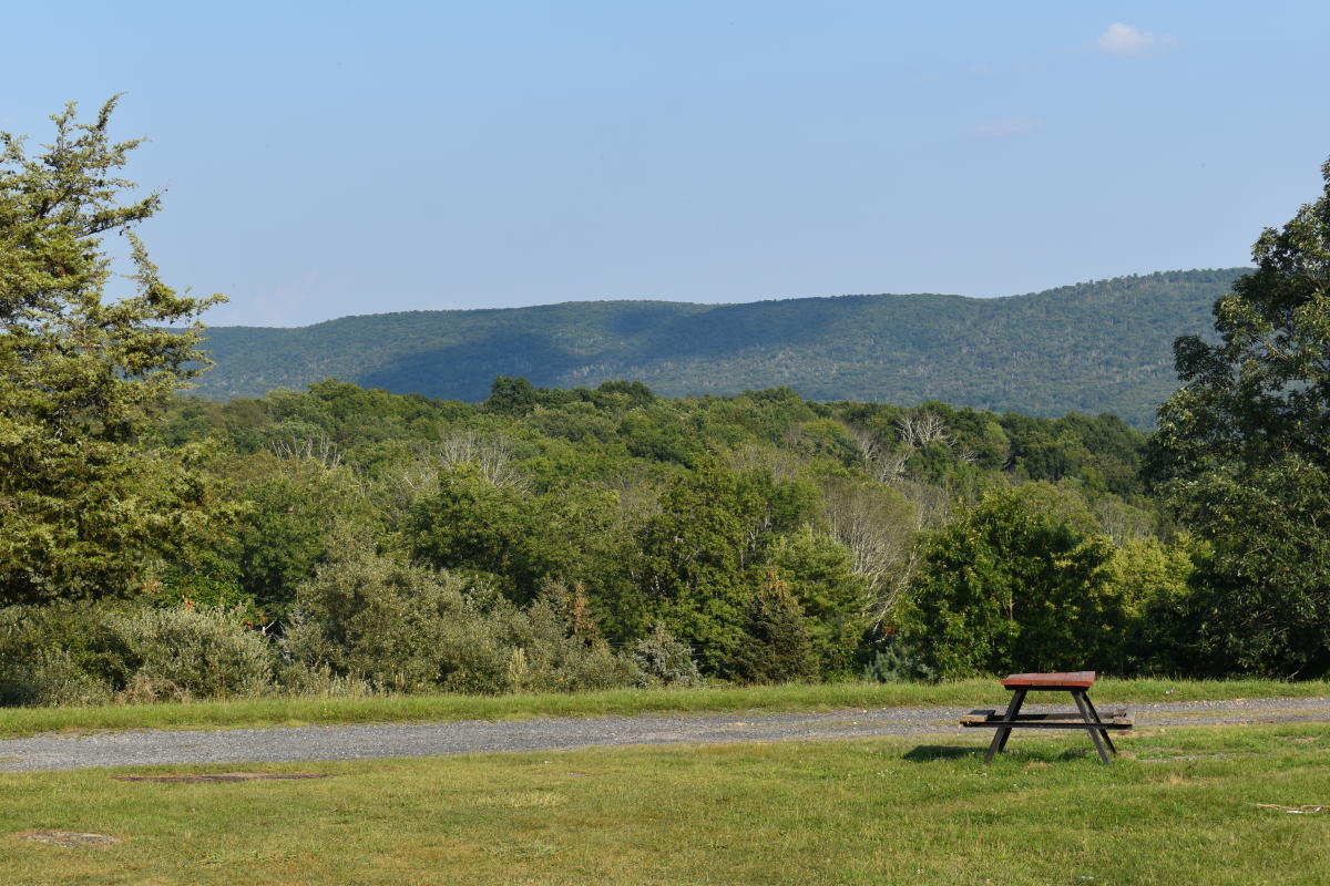 Camp Out Poconos | East Stroudsburg, PA 18301