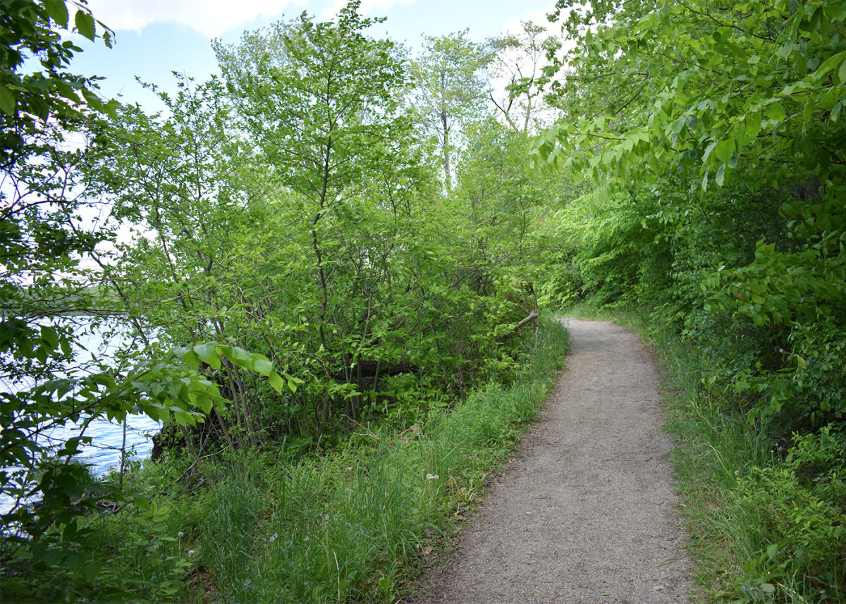 Tobyhanna State Park - Biking | Tobyhanna, PA 18466