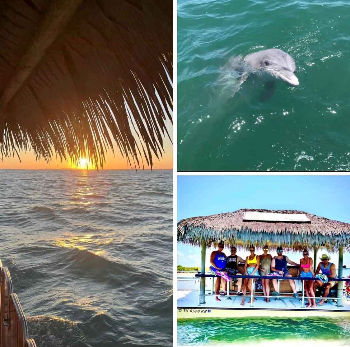 Tiki Tours Port Aransas Tx