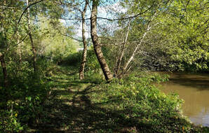 Keith Richard Walner Nature Preserve