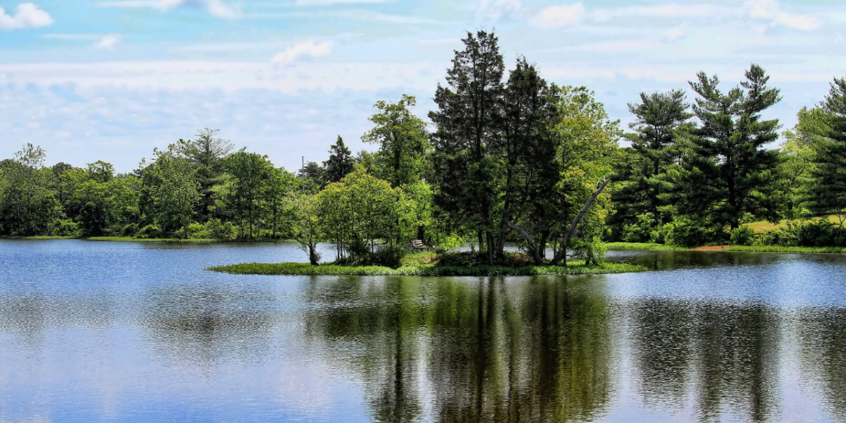 Silver Lake Regional Park
