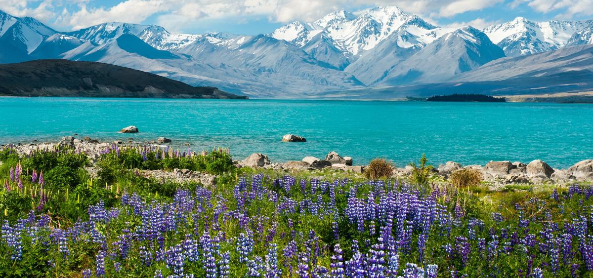 Aoraki/Mount Cook Private Tour – Full Day | Alpine Luxury Tours