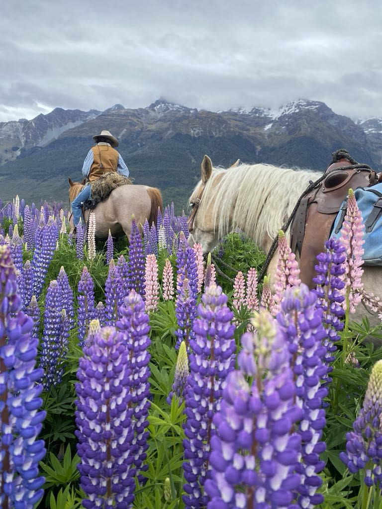 The River Wild, Lighthorse Adventures | Queenstown NZ