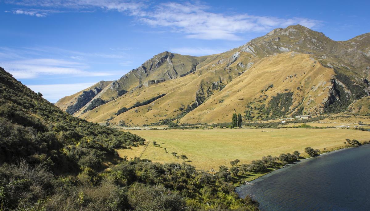 Moonlight Track + ' | Queenstown NZ'