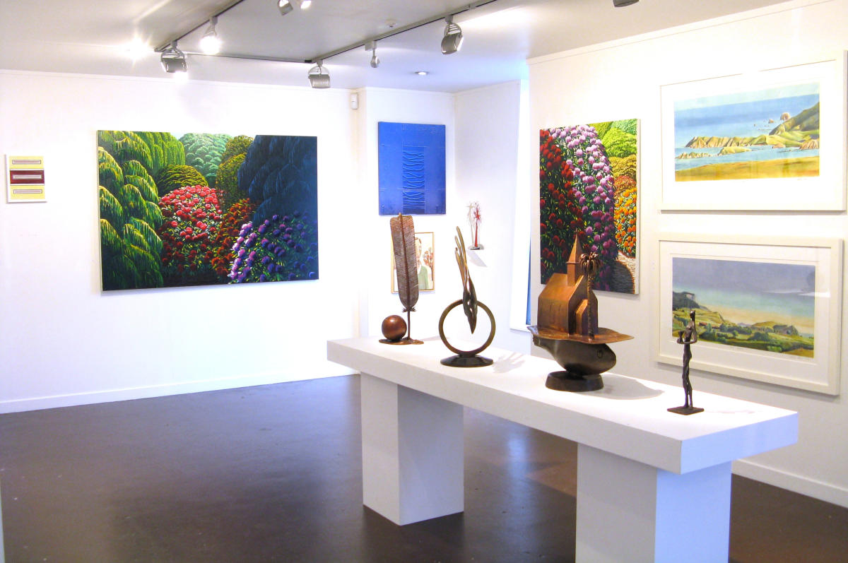 Milford Galleries | Queenstown NZ
