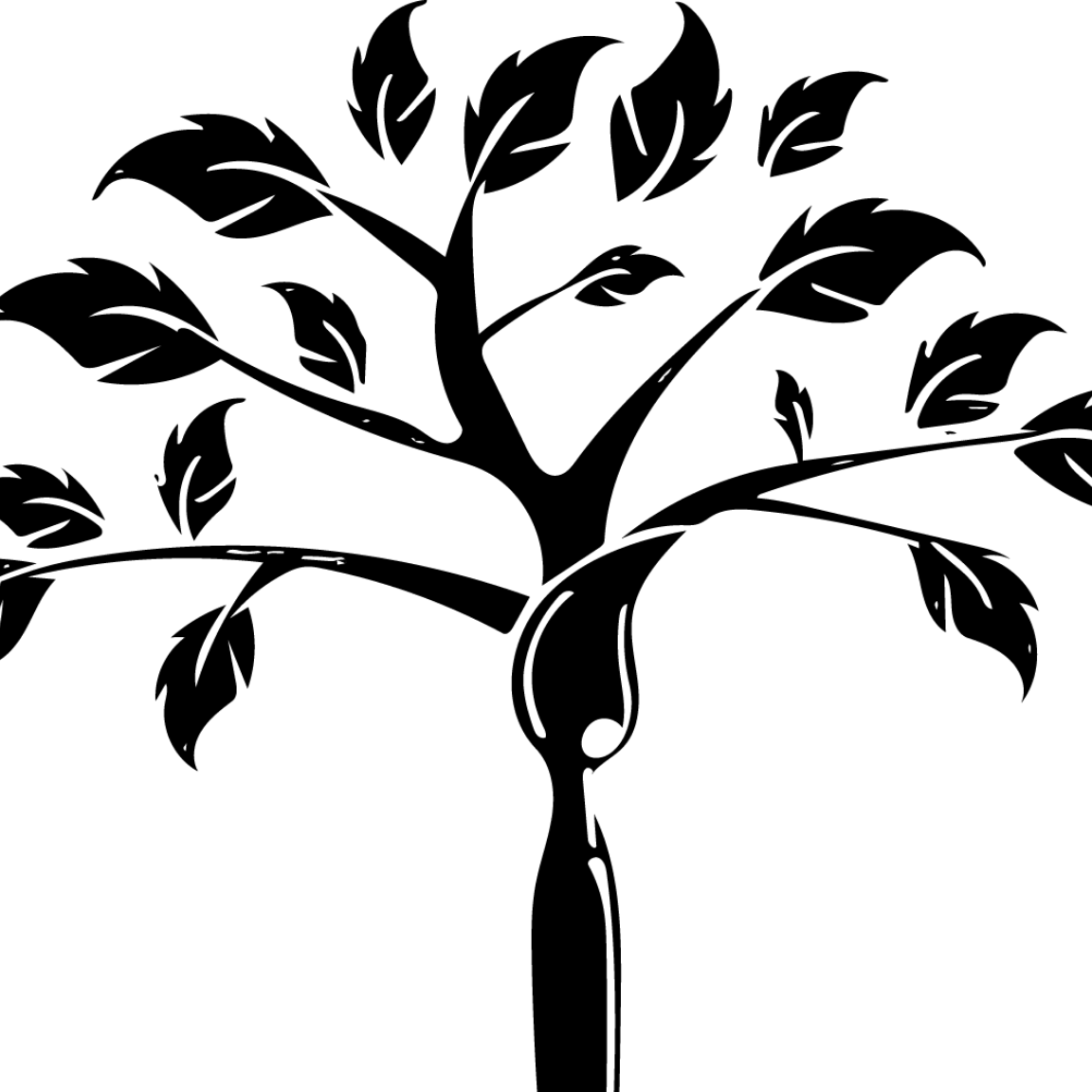 Lucky Tree Gallery & Café | Raleigh, NC 27607