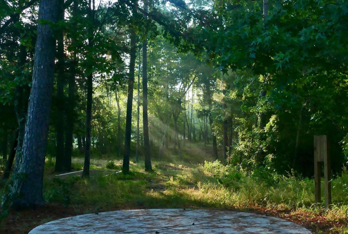 Diavolo at New Hope Disc Golf | Cary, NC 27519