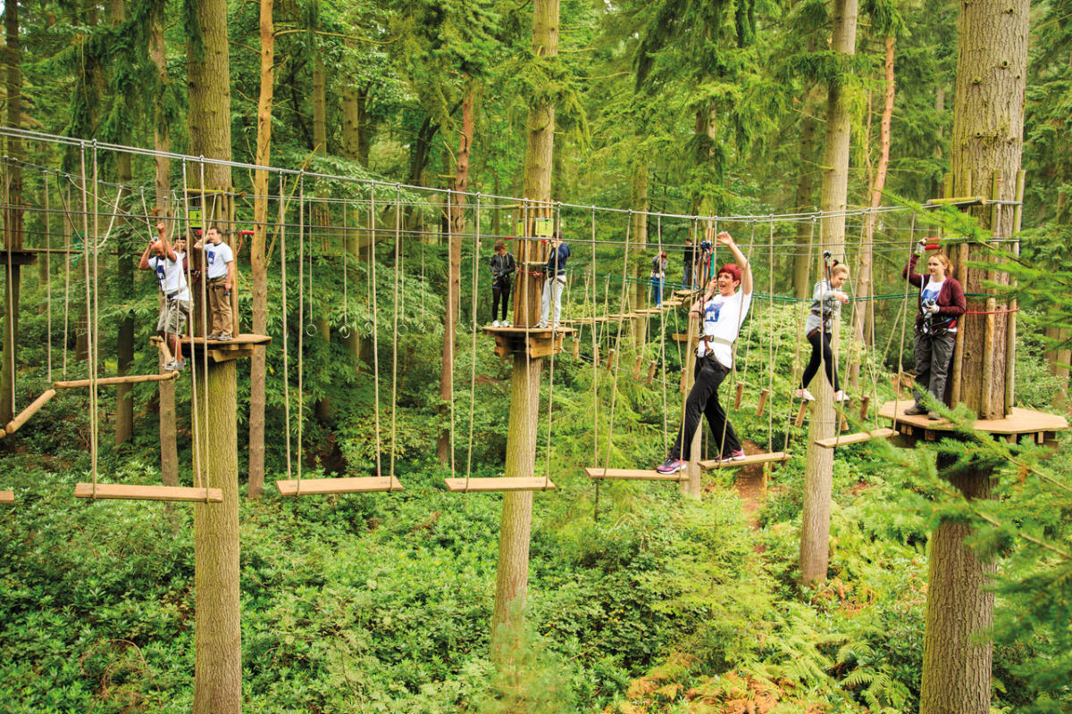 Go Ape Treetop Adventure & Treetop Journey | Raleigh, NC 27614