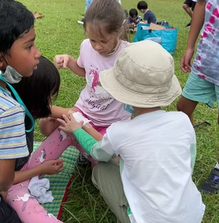 Into The Wild Science Camp (Age 6-12) | Zebulon, NC 27597