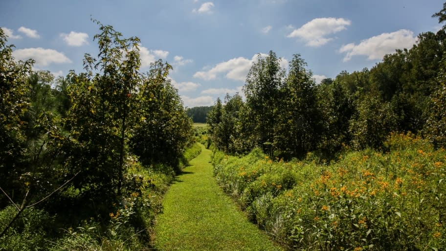 Annie Louise Wilkerson, MD, Nature Preserve Park | Raleigh, NC 27614