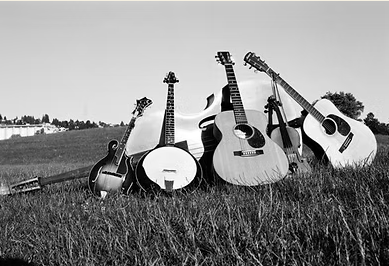 Bluegrass Jam Session