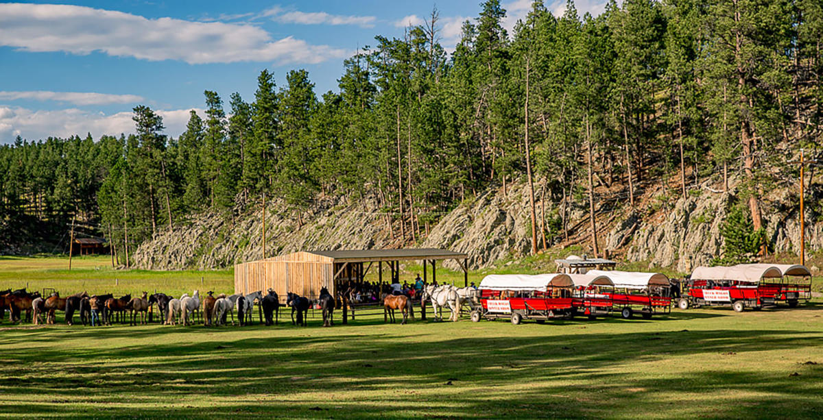 Palmer Gulch Horse Drawn Wagon Ride and Cowboy Supper